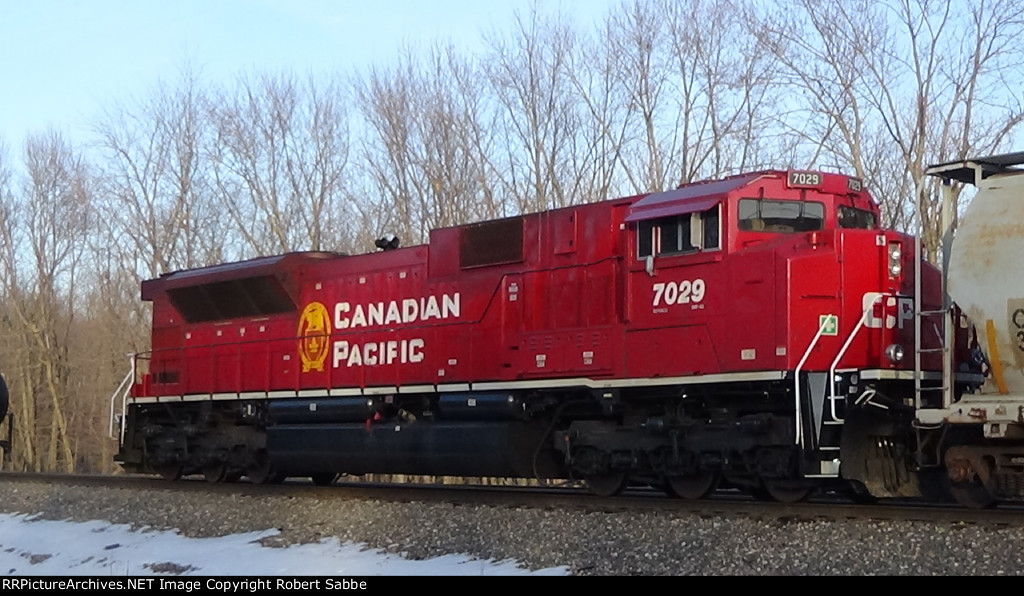 CP 7029